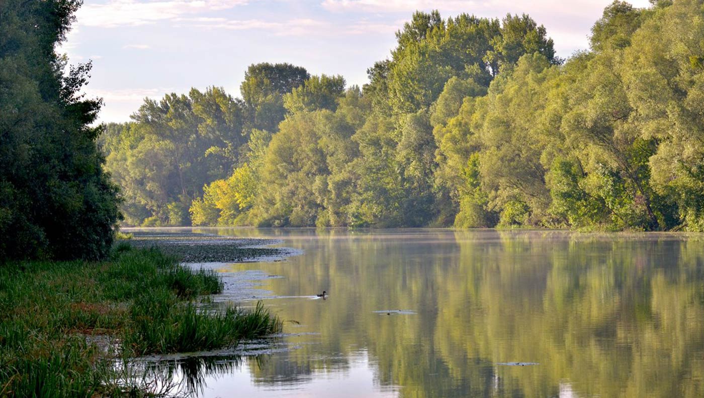 Find your Danube Guides in Serbia!